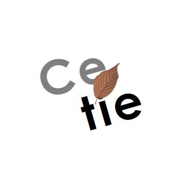 Centro Transdisciplinar de Investigación en Educación [CETIE-UVa ...